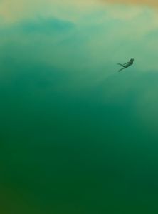 Fotografi – PHOTOGRAVURE